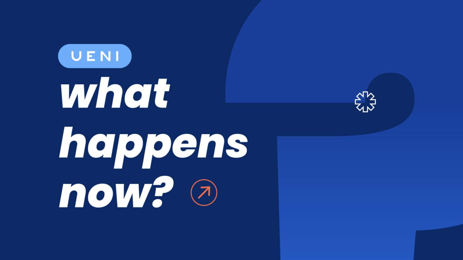 You've Just Signed Up With UENI, Now What? - UENI Blog