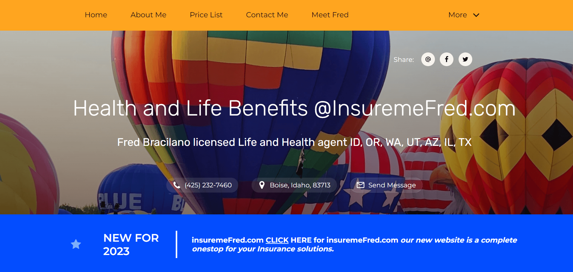 25 Insurance Website Designs: Tips, Practices & Designs - UENI