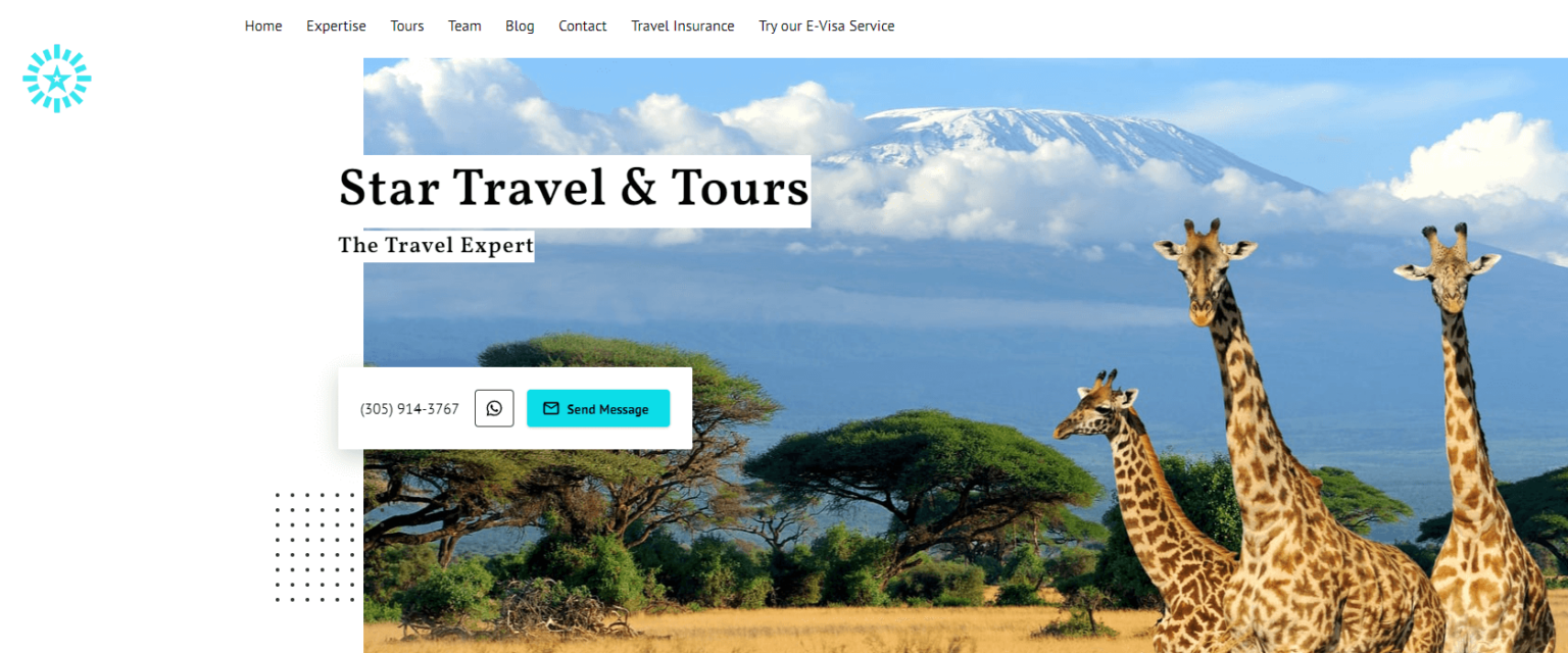 20 Inspiring Travel Agency Website Designs & How To Make One