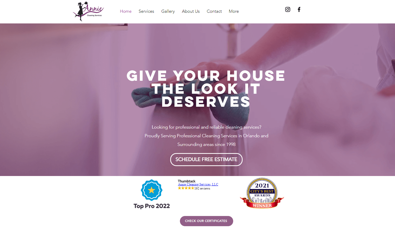 25 Cleaning Service Website Examples and How To Create One