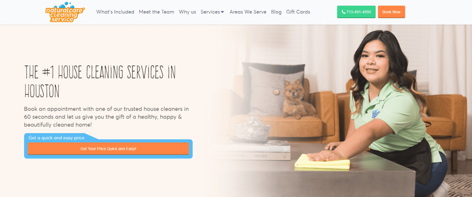 25 Cleaning Service Website Examples and How To Create One